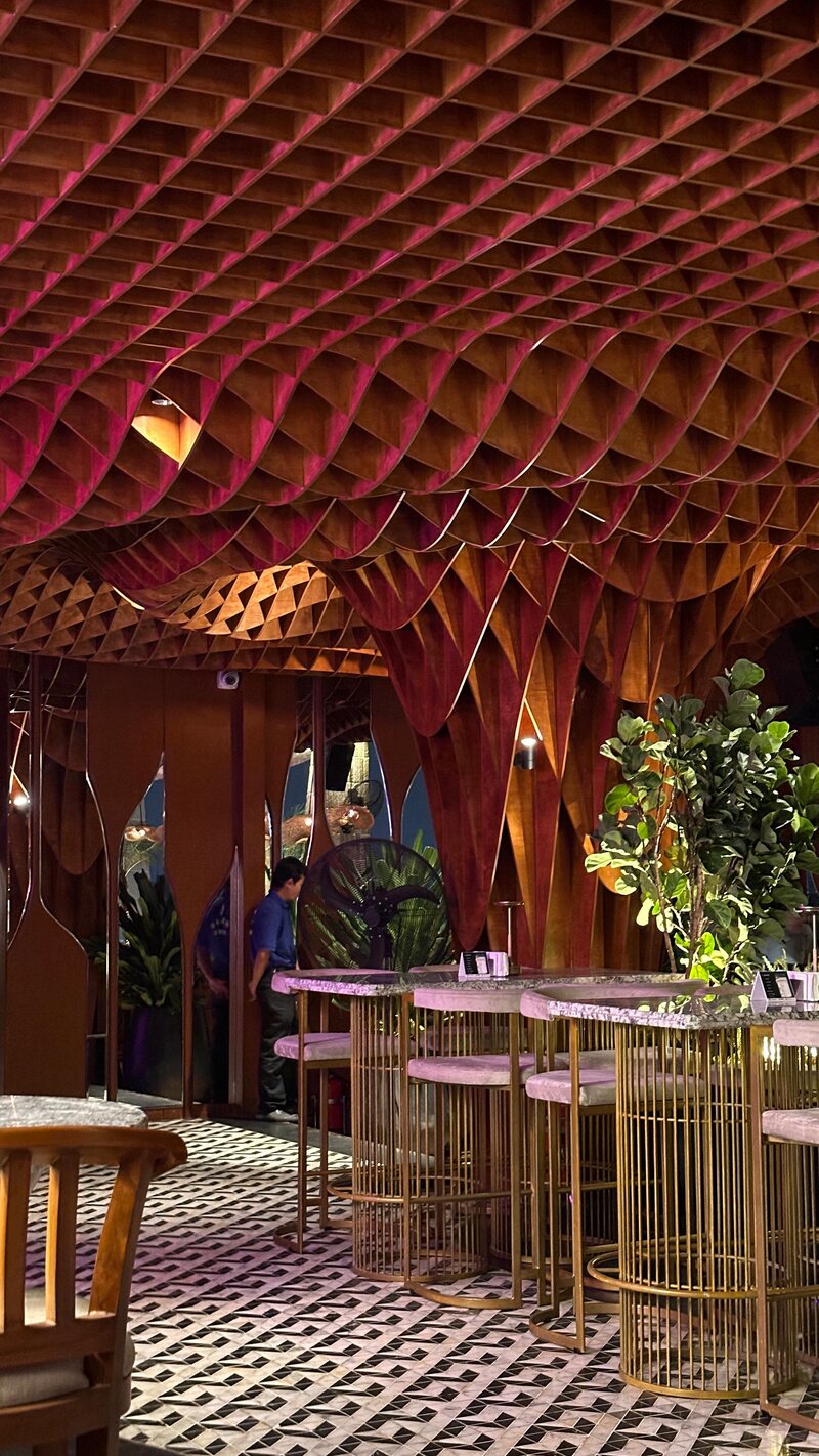Birch plywood by Vikas Plywood used on Cara Cara ceiling