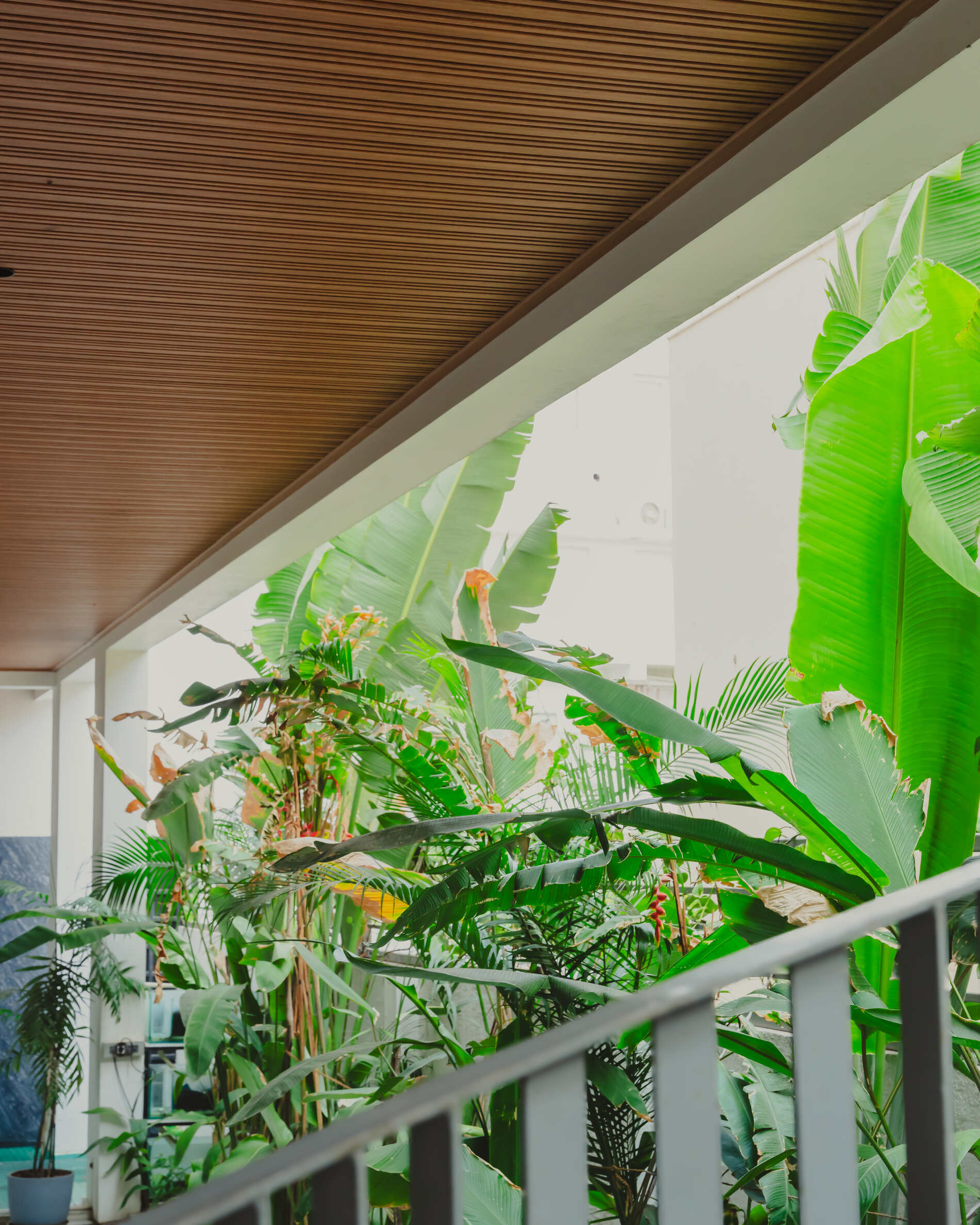 AGT 114 Teak wall panels